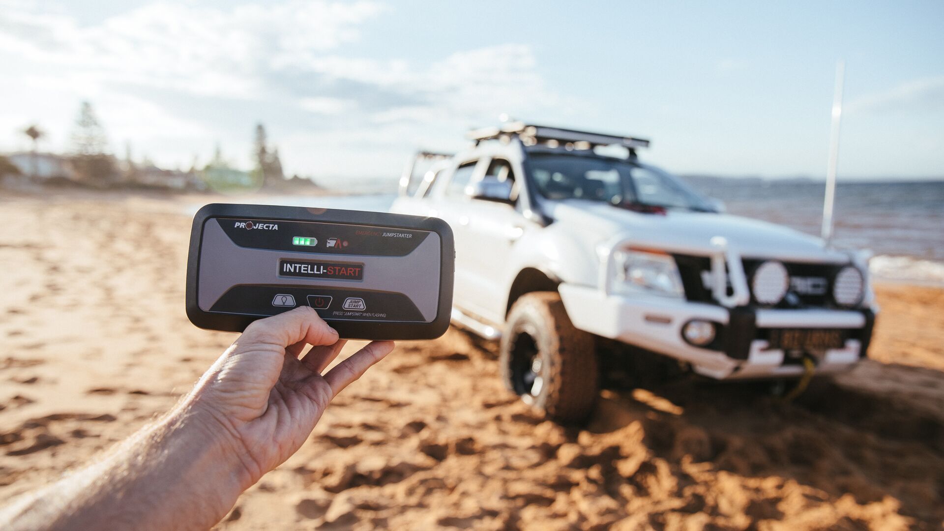 Multimedia Assets | Projecta