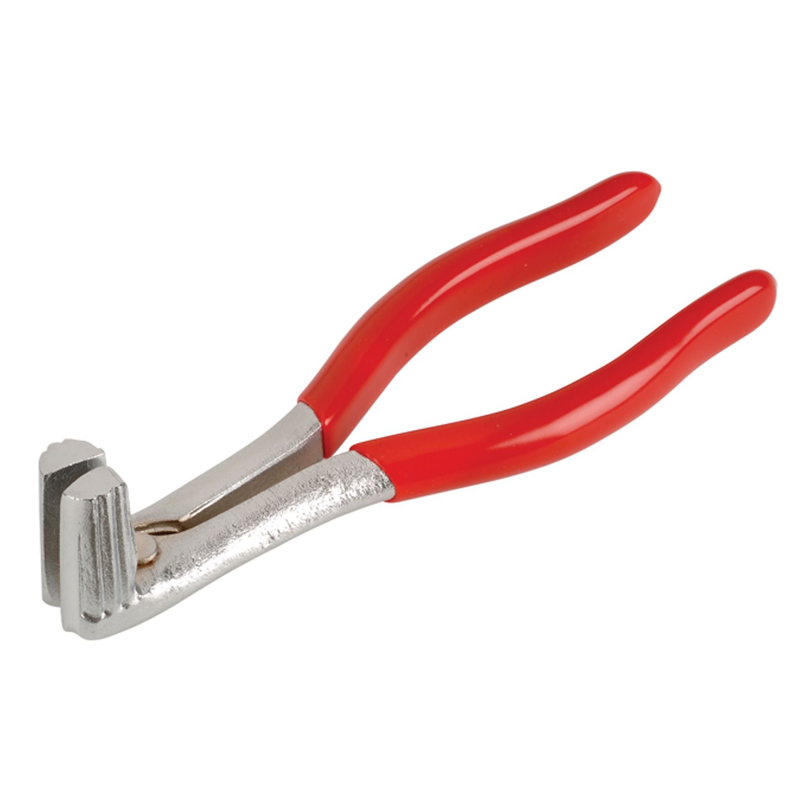 Spare Parts | Projecta